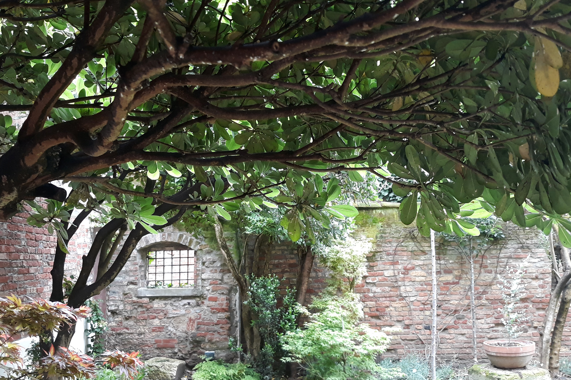 Architecture & Engineering Firm in Venice, Italy | GG Engineering